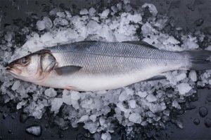 Bar : quel type de poisson, avantages et inconvénients, recettes de cuisine